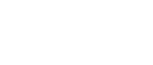 Genesis Insurance Services