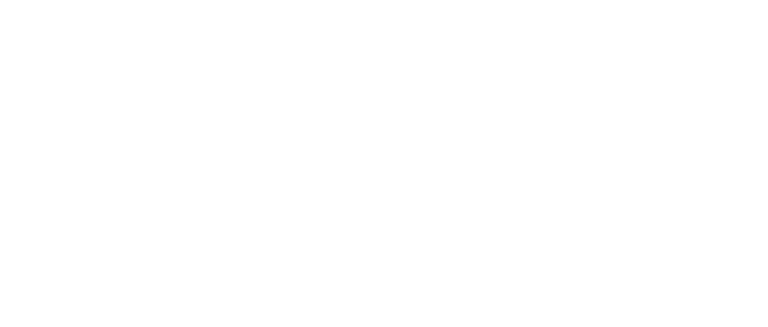 Genesis Insurance Services